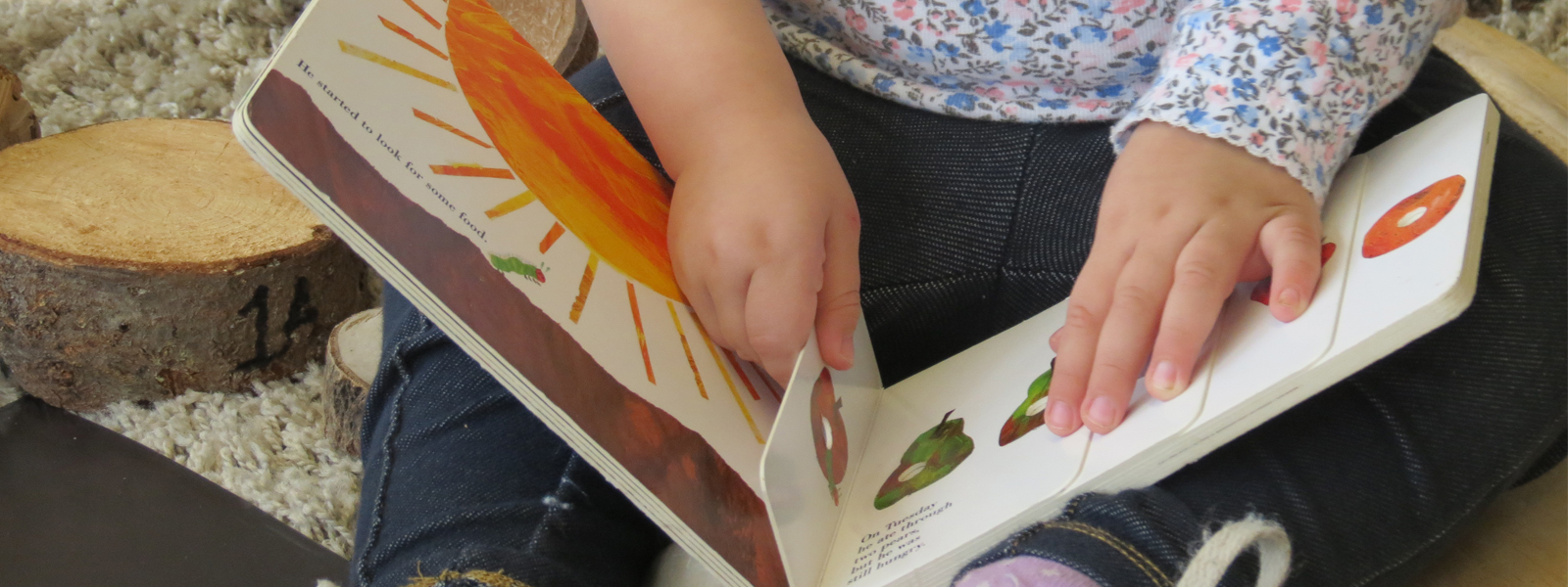 Family Literacy for Young Parents - Terra Centre
